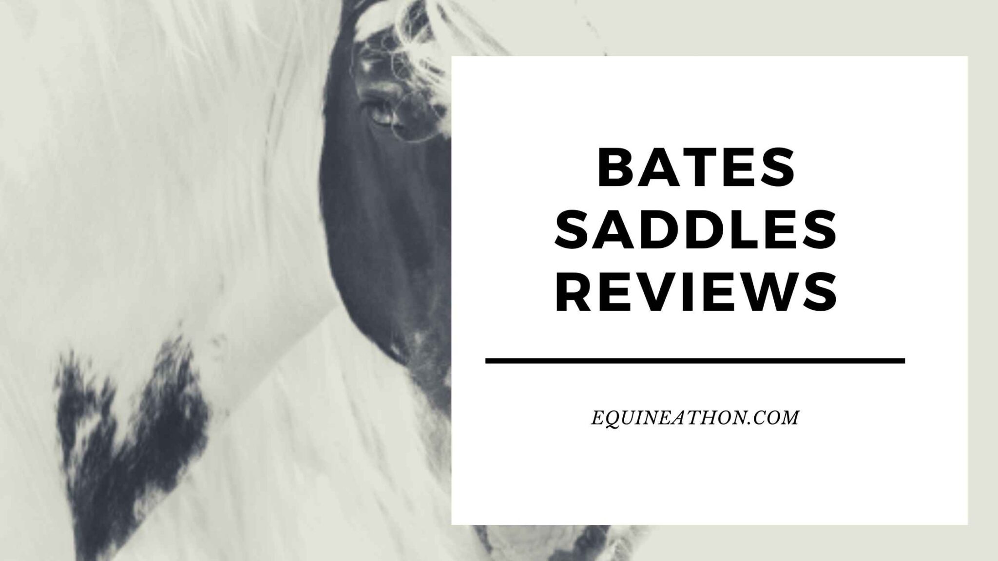 The Best Saddles for High Withered Horses – equineathon.com
