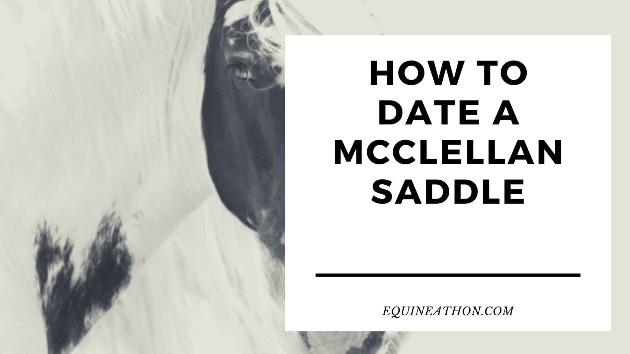 How to Date a Mcclellan Saddle – equineathon.com
