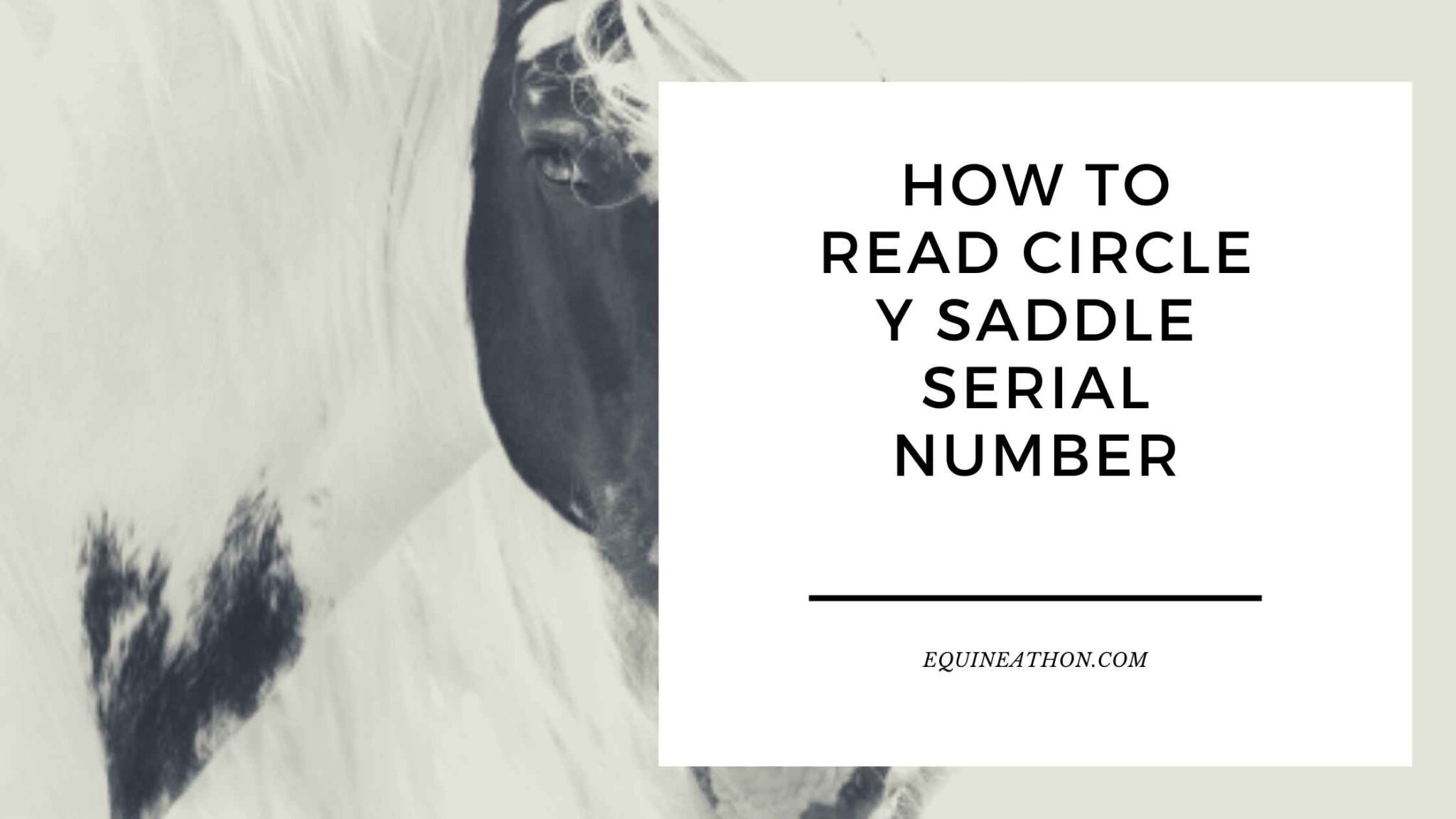 How to Read Circle Y Saddle Serial Number – equineathon.com