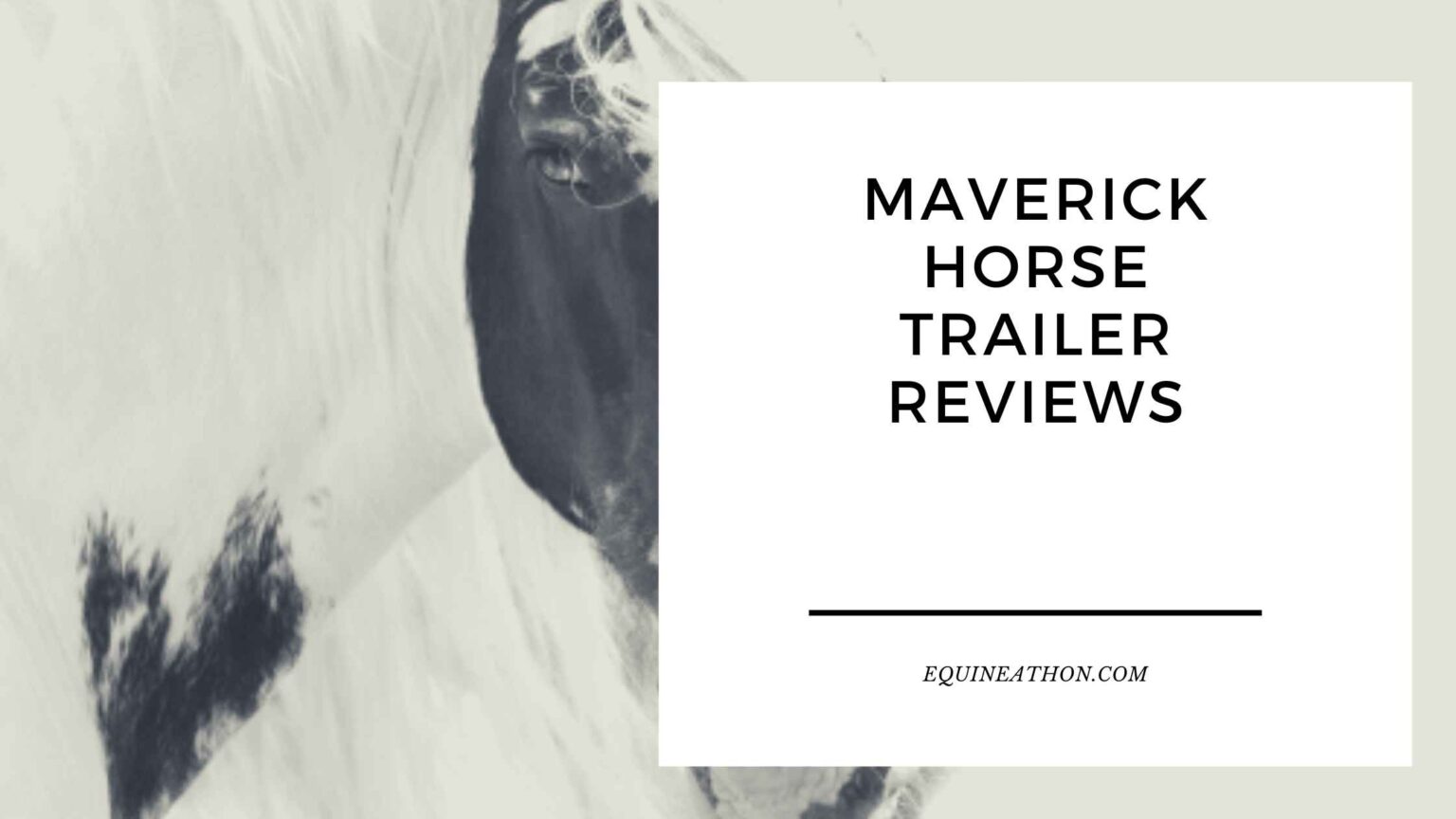 Maverick Horse Trailer Reviews – A Personal Exploration – equineathon.com