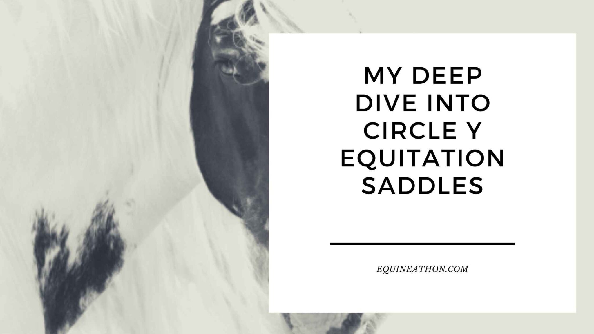 My Deep Dive into Circle Y Equitation Saddles – equineathon.com