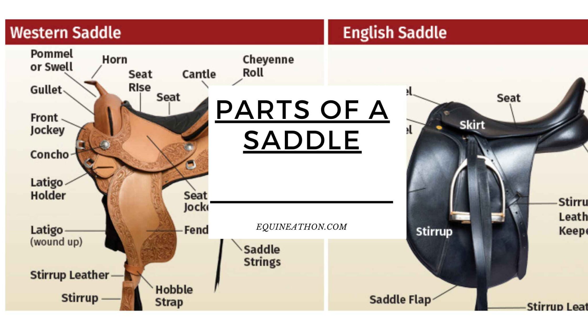 [IMAGE INCLUDED] Parts of an English Saddle – equineathon.com