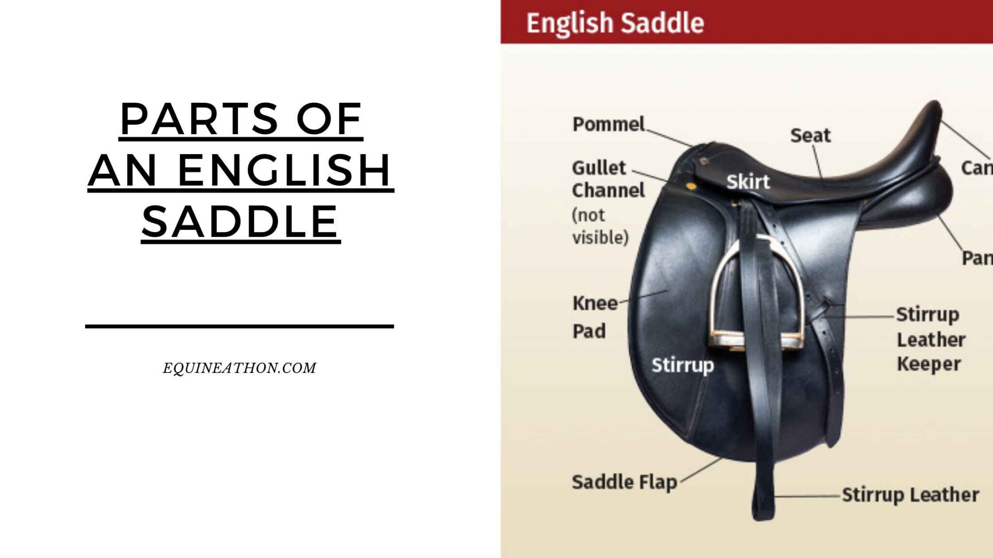 [IMAGE INCLUDED] Parts of an English Saddle – equineathon.com
