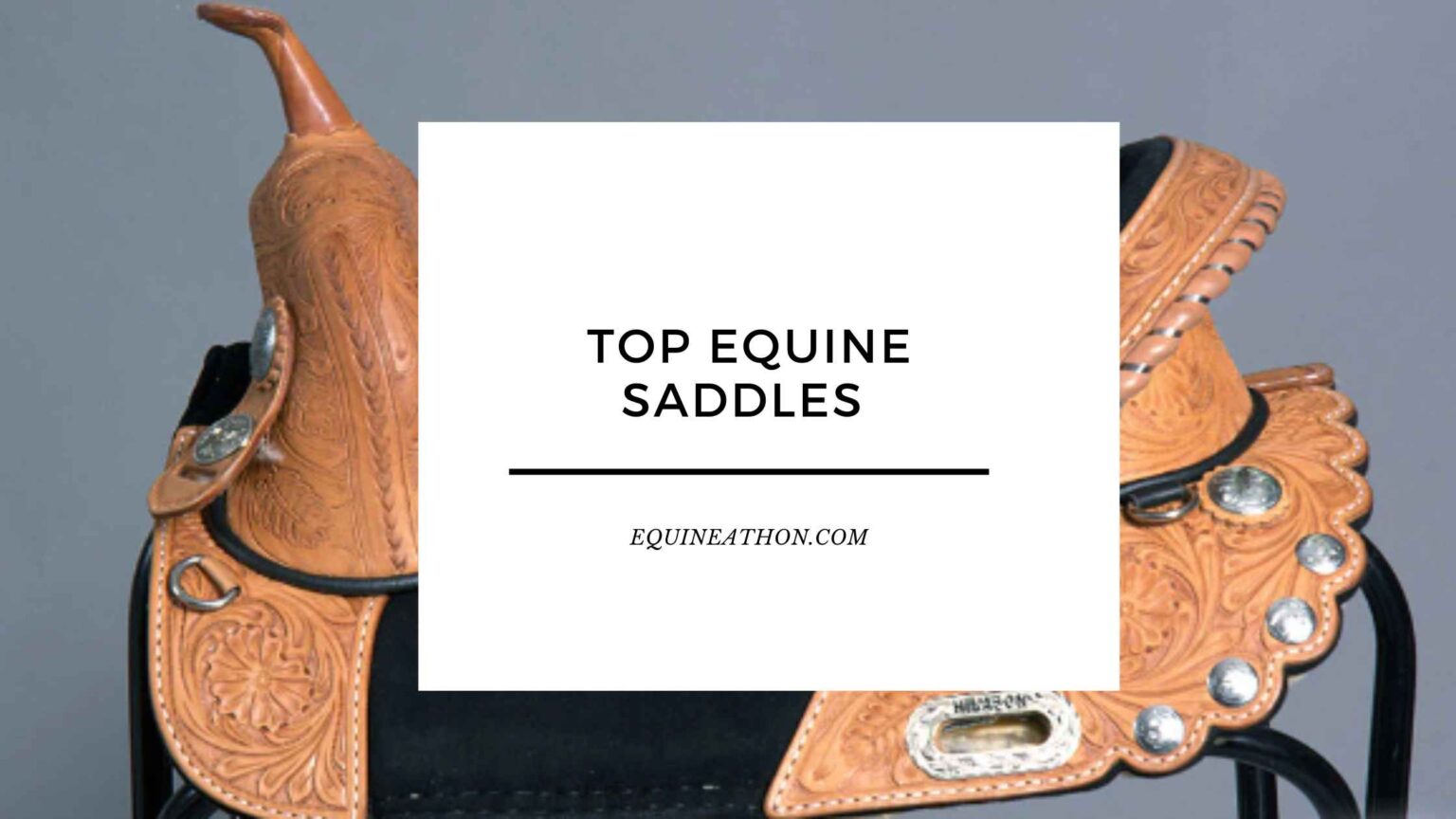Types of English Saddles and Prices [with PICTURES] – equineathon.com