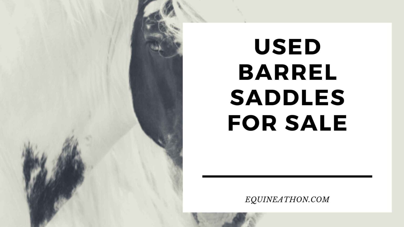 The Best Saddles for High Withered Horses – equineathon.com